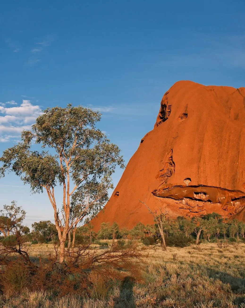Can You Do a Day Trip to Uluru from Alice Springs?